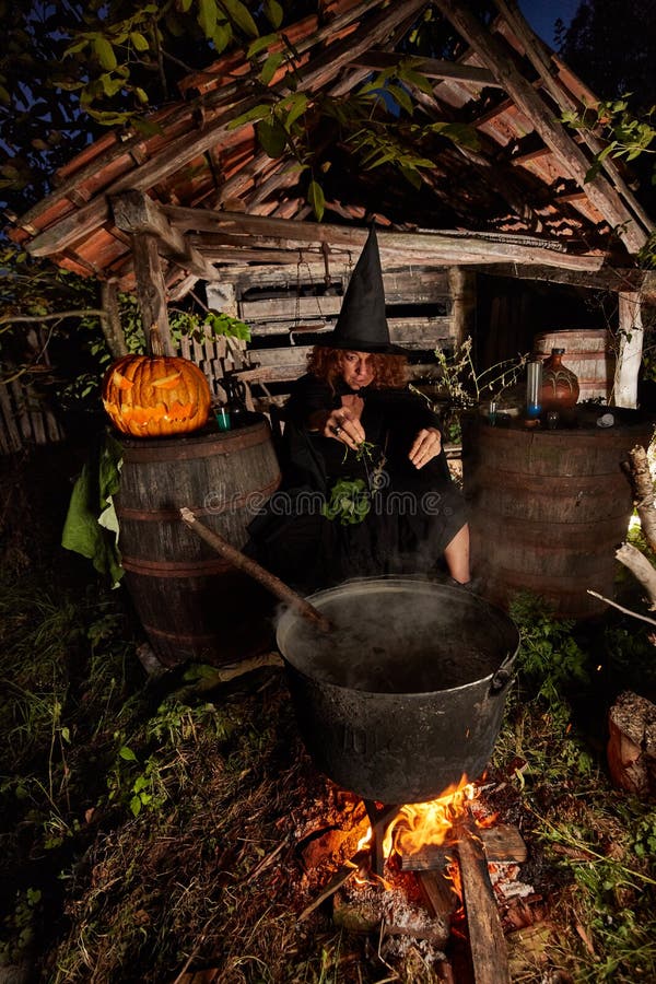 Witch boiling spells stock photo. Image of dark, gray - 133150728