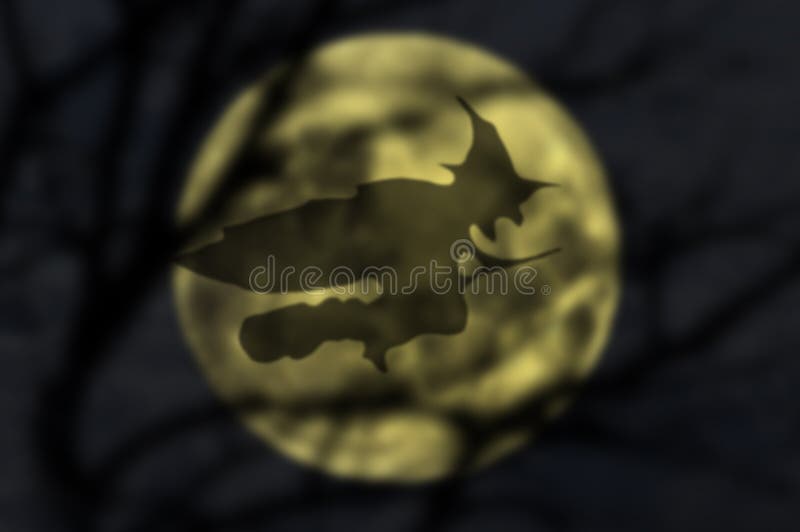 Witch on Broom , Shadow Over Full Moon Stock Photo - Image of buckets ...