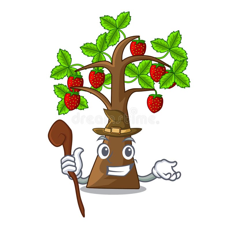 Witch Cartoon Strawberry Trees Grow on Soil Stock Vector - Illustration ...