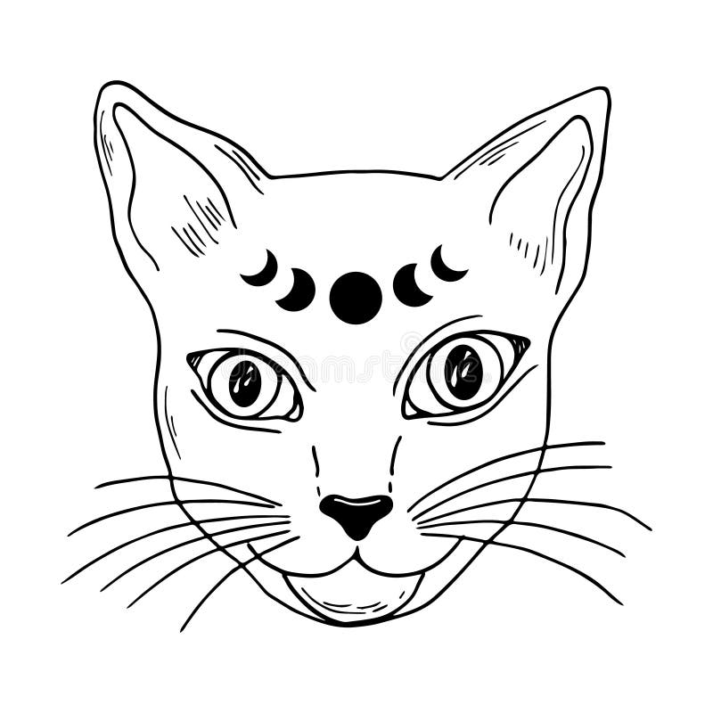 Moon Phases Cat Stock Illustrations – 55 Moon Phases Cat Stock ...