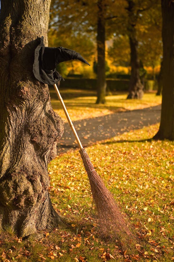 Witch Hat and Broom in the Fall Stock Photo - Image of woods, season ...