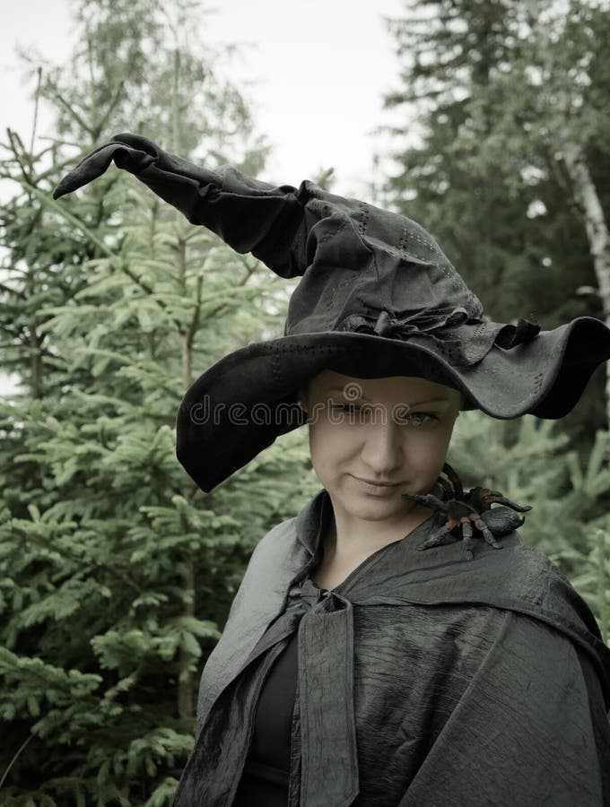Witch with spider stock photo. Image of sorceress, insect - 73813458