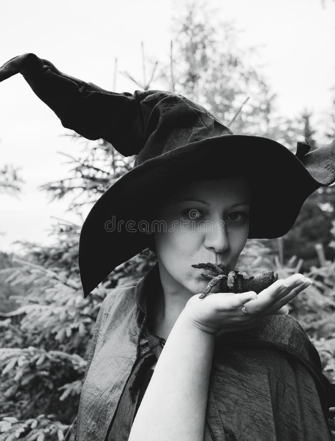 Kiss Spider Woman Bombed Stock Photos - Free & Royalty-Free Stock ...