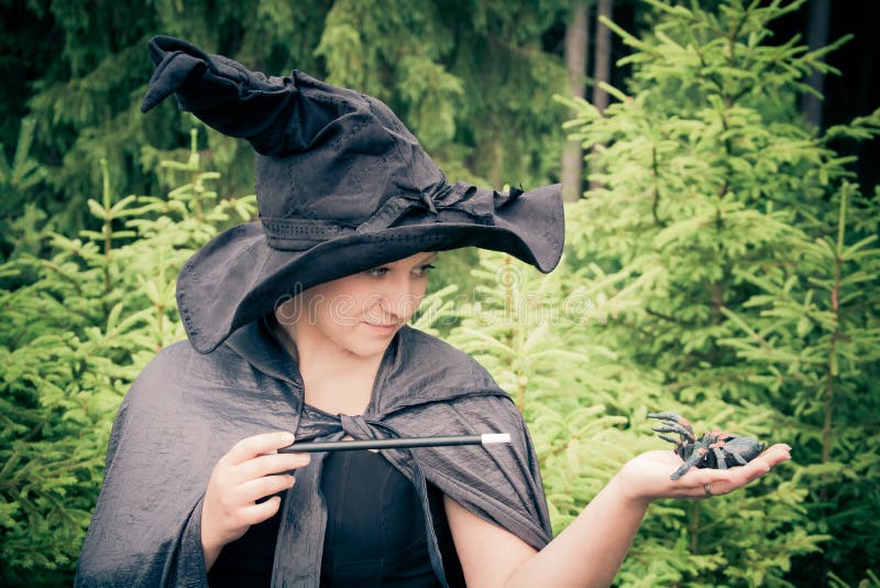 Witch with wand stock image. Image of hand, forest, female - 73781553