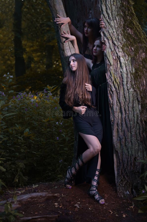 Witches in dark forest stock image. Image of lady, magic - 58642879
