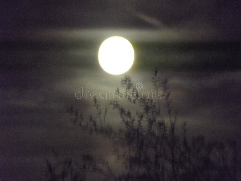 Witching Hour stock photo. Image of hour, full, trees - 153406022