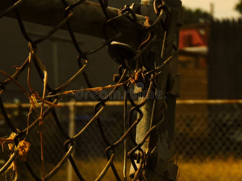 Wither stock image. Image of sunset, metal, wither, fall - 161125155