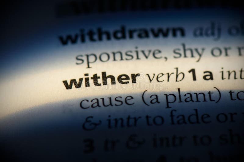 Wither stock image. Image of definition, closeup, wither - 161578915