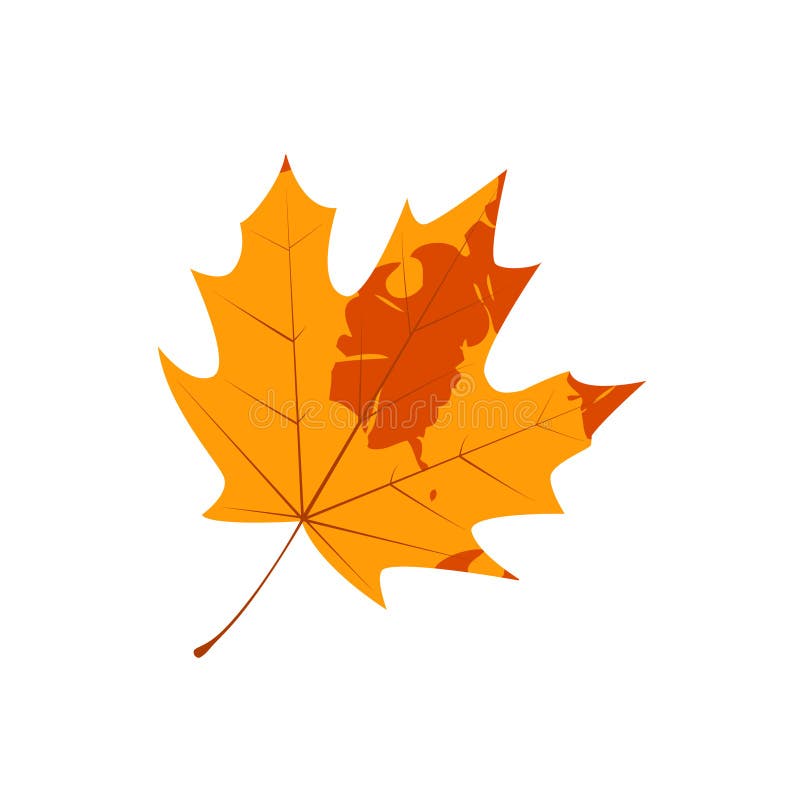 Withered Autumn Maple Leaf. Fallen Leaf with Notley Texture Stock ...