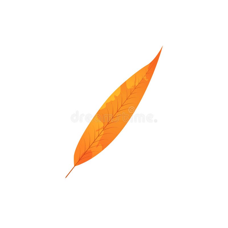 Withered Autumn Motley Leaf. Fallen Leaf with Blot Texture Stock Vector ...
