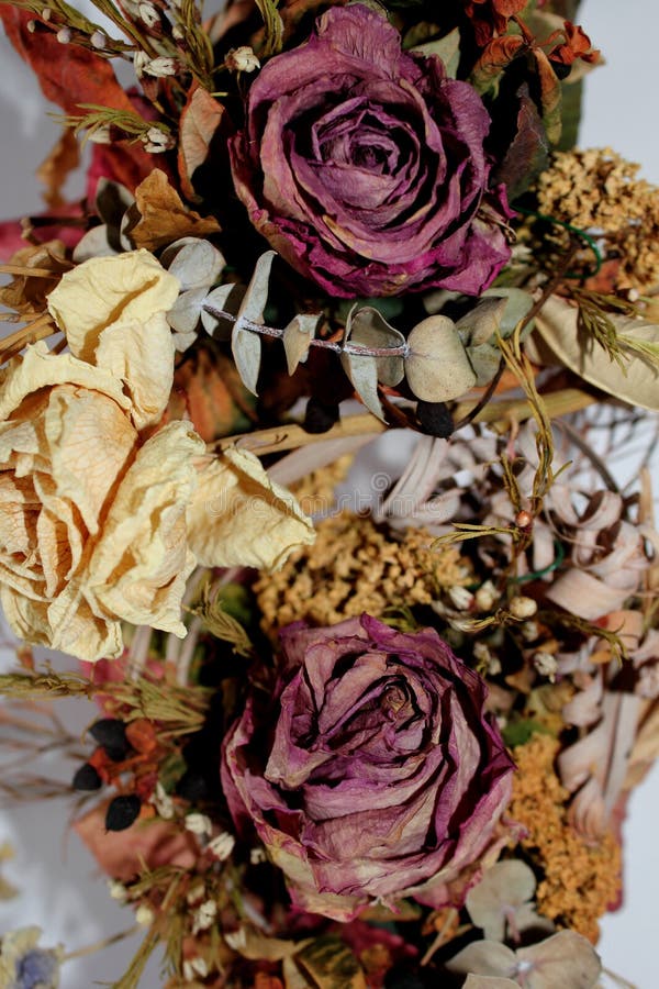 Withered bouquet stock photo. Image of marriage, misery - 22548524