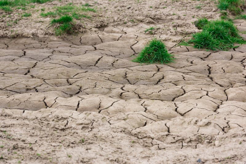Withered earth with grass stock photo. Image of heat - 98145200
