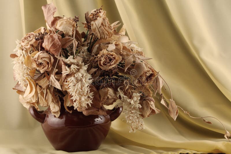 Withered flowers stock photo. Image of beautiful, sadness - 2407326