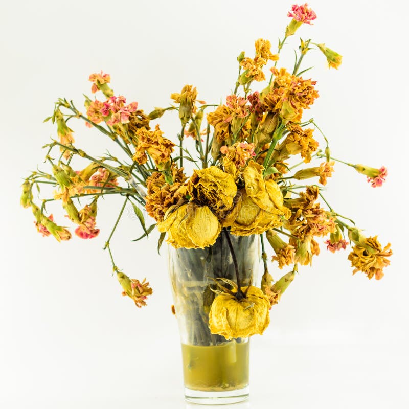 Withered Flowers. Dry Tulips in the Sun. Fallen Flowers. Bouquet of ...