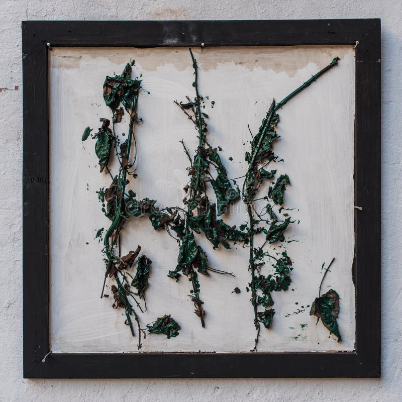 Withered Leaves on the Frame. White Wall Background Editorial ...
