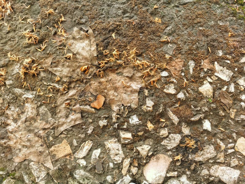 Withered Moss Covered Rocks Stock Image - Image of formations, metsovo ...