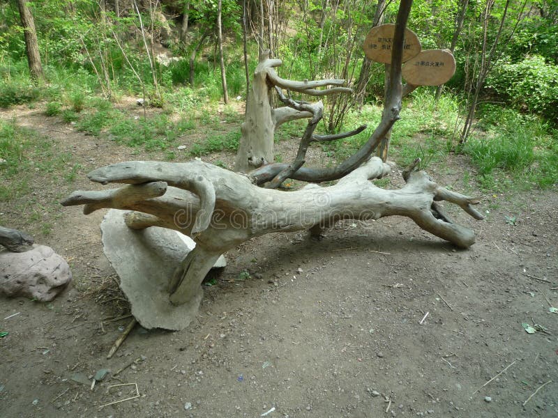 Withered Natural Tree Sculpture Stock Image - Image of flower, works ...