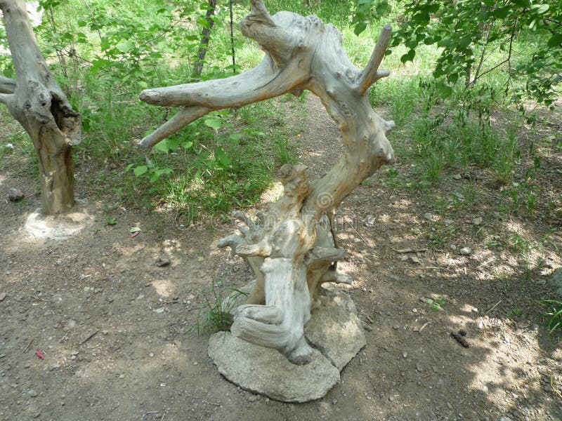 Withered Natural Tree Sculpture Stock Photos - Free & Royalty-Free ...