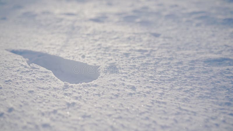 Withered Plants Stick Out from Under a Thick Layer of Snow Stock Video ...