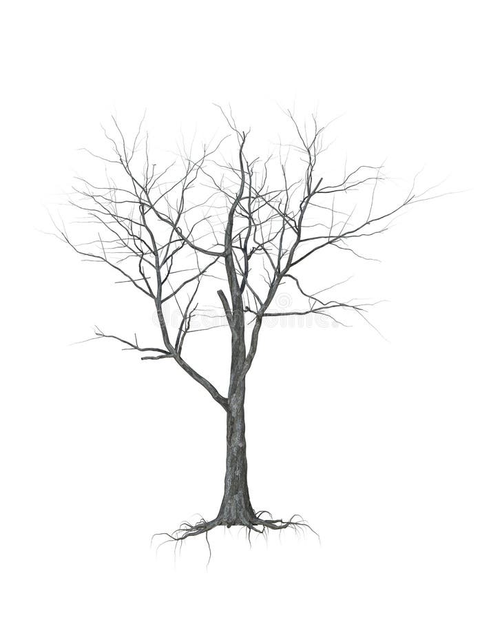 Withered Branches Stock Illustrations – 183 Withered Branches Stock ...