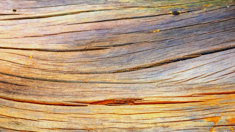 Withered Tree after Pollution from Industrial Work Stock Image - Image ...