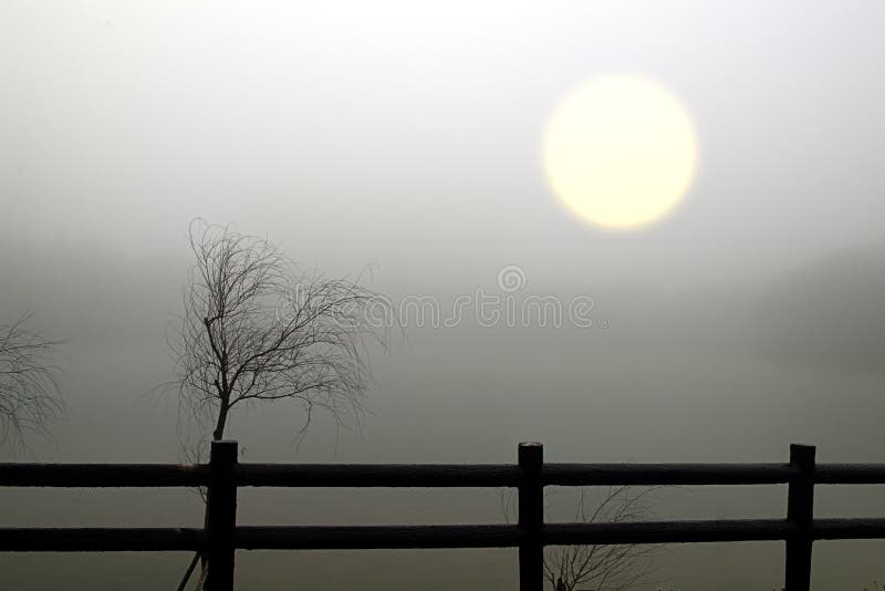 Withered, and the Un-clear Sun Stock Image - Image of country, tree ...