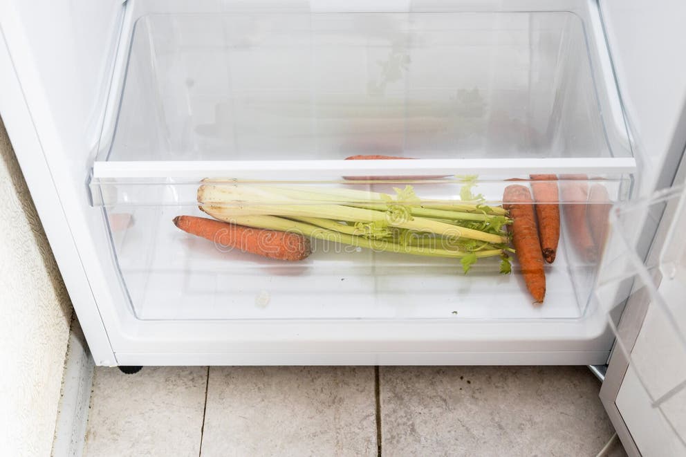 Withered Vegetables in Bottom Box of Refrigerator Stock Photo - Image ...