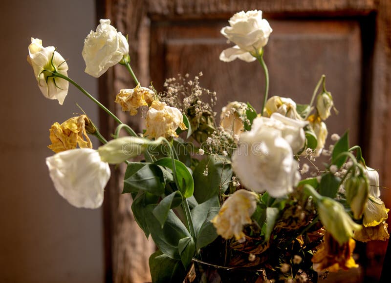 Withered White Roses in Front of the House Door Stock Photo - Image of ...