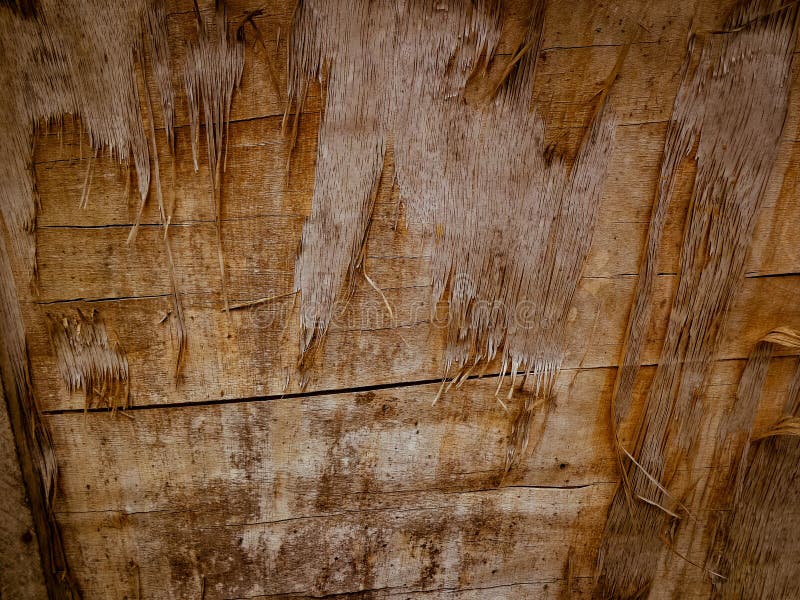 Withered Wood with Cracks Background Texture Stock Photo - Image of ...