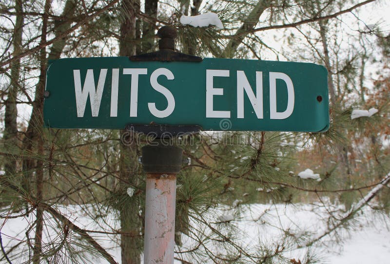 Wits End stock image. Image of needles, tree, ground - 68507007