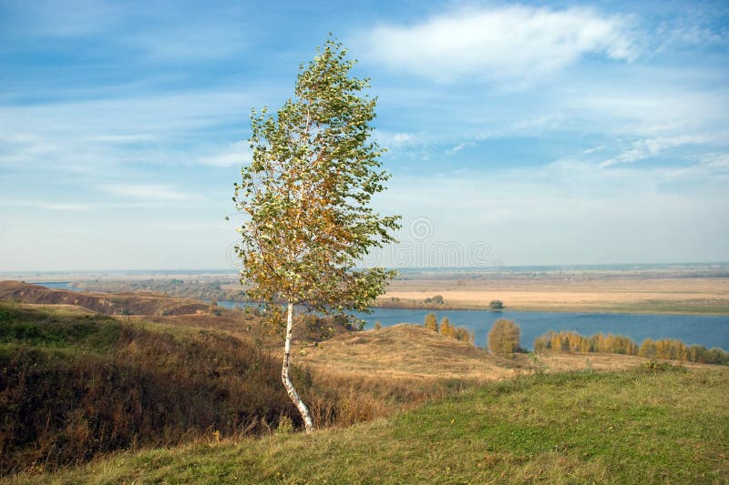 Witte Berk Op De Rand Van Een Ravijn Stock Foto - Image of groen ...