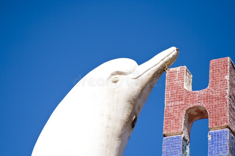 Witte Dolfijn stock foto. Image of dolfijn, blauw, echt - 35900618