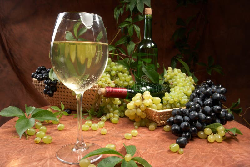 Witte droge wijn stock afbeelding. Image of licht, gouden - 14154763