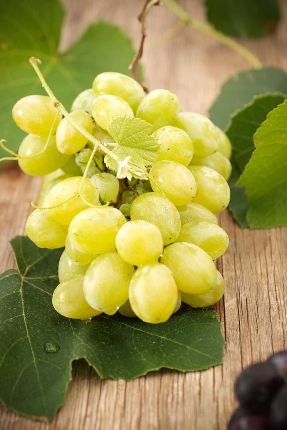 Witte druiven stock foto. Image of druif, smakelijk, voedsel - 6064536