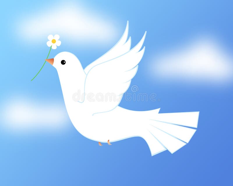 Witte duif/duif vector illustratie. Illustratie bestaande uit veren ...