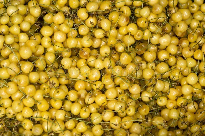 Witte kersen stock afbeelding. Image of kersen, eten - 20687483