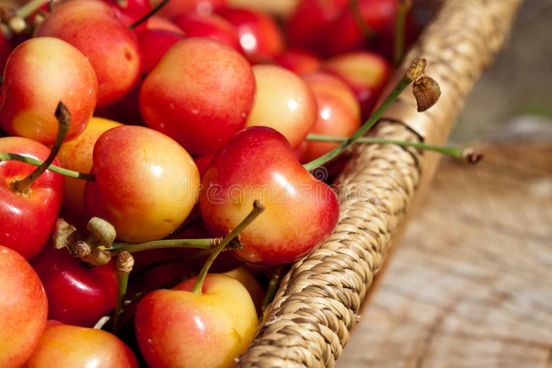 Witte kersen stock foto. Image of zoet, kersen, snack - 20295862