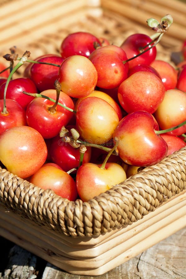 Witte kersen stock foto. Image of vrucht, nagerecht, macro - 20295864