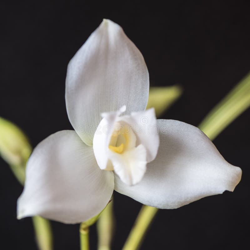 Adgies - Photographer profile