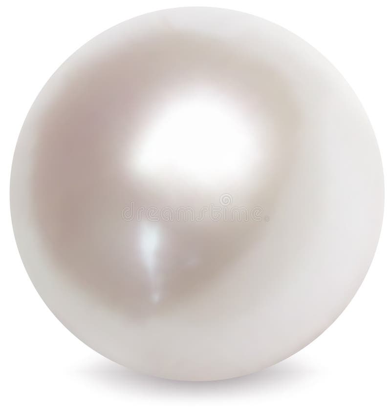 Witte parel vector illustratie. Illustration of vector - 26150109