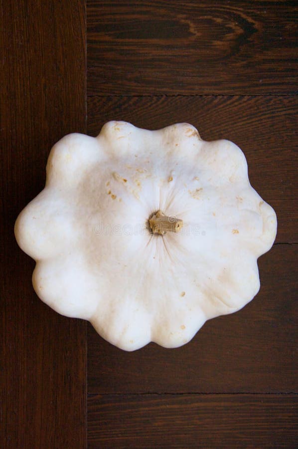 Witte pompoen stock foto. Image of dankzegging, pompoen - 11359086