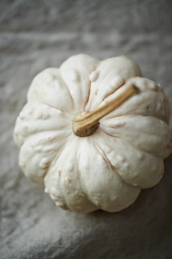 Witte pompoenzaad stock afbeelding. Image of vegetariër - 162157383