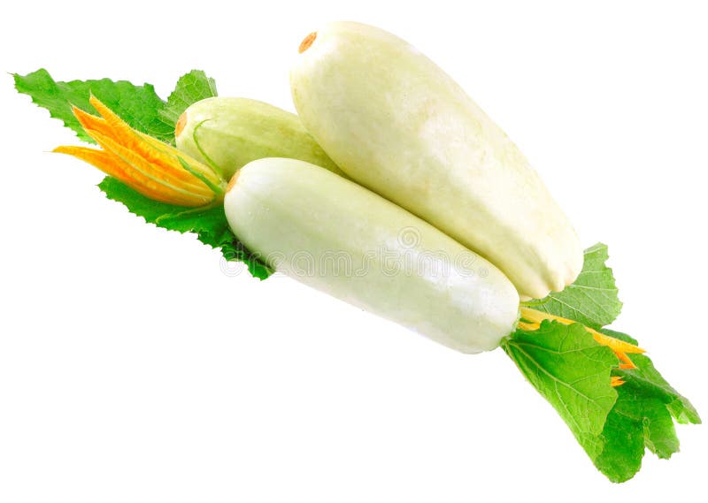 Witte Pompoen Op Witte Achtergrond. Stock Afbeelding - Image of ...