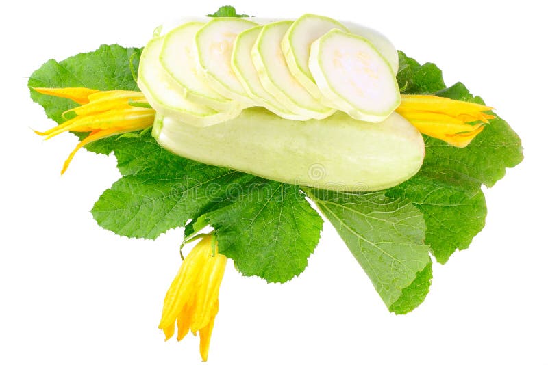 Witte Pompoen Op Witte Achtergrond. Stock Foto - Image of bloeiwijze ...