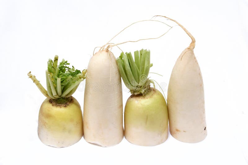 Witte radijs stock afbeelding. Image of voorwerp, aziatisch - 20733579