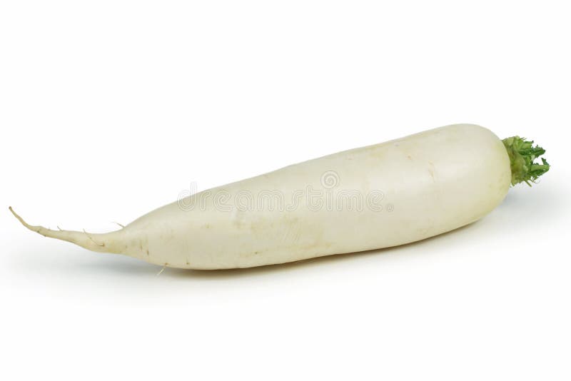 Witte radijs stock foto. Image of japan, lang, recept - 18589958