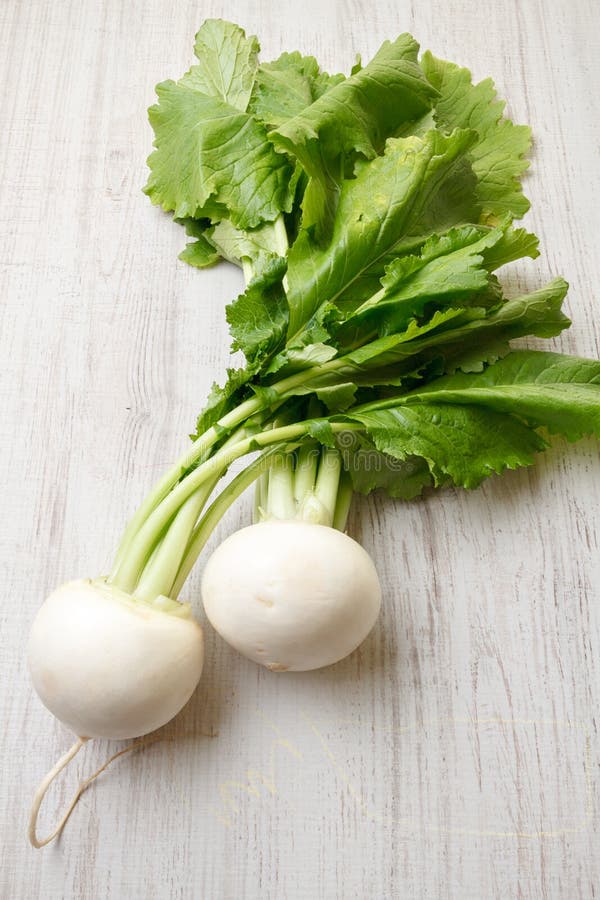 Lange witte Radijs stock afbeelding. Image of radijs - 30138467