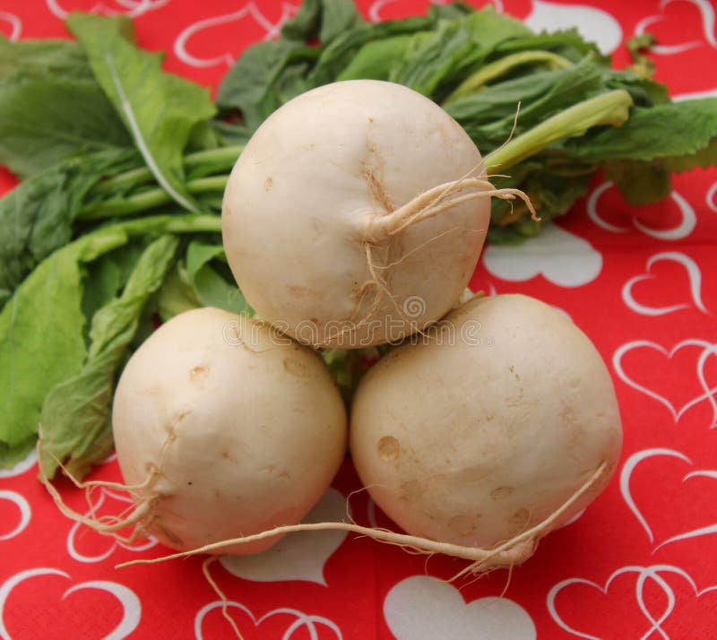 Witte radijs stock afbeelding. Image of voedsel, salade - 11737243