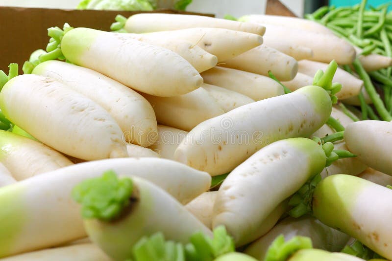 Witte Radijs stock afbeelding. Image of radijs, gezond - 53616509