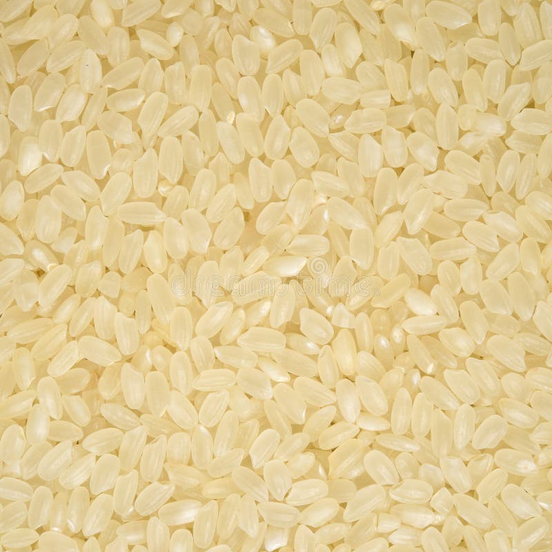 Witte rijst stock afbeelding. Image of gezond, beeld - 104755559